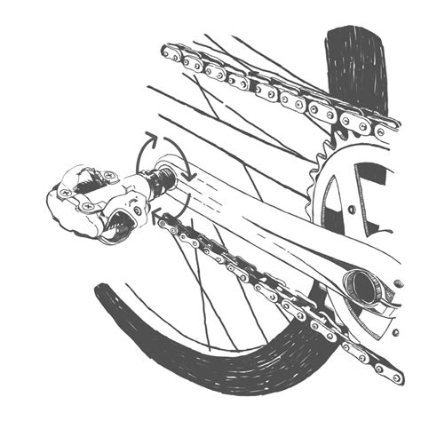 How To Assemble A Bike Bike Assembly Instructions