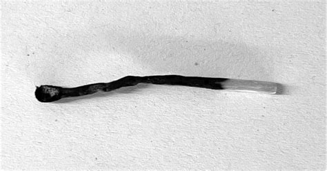 Weil Er So Fickt Wie Sie Alle Gerne Ficken W Rden Saiten