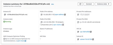 How To Create And Mount An Efs Elastic File System Volume In Aws By