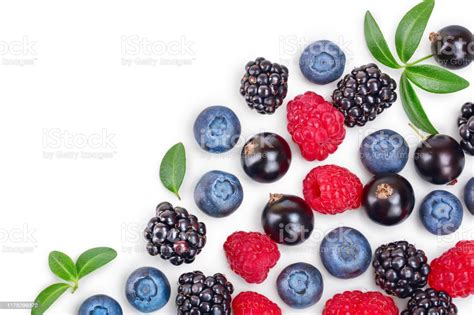 블랙 베리 블루 베리 라즈베리 블랙 건포도 텍스트에 대 한 복사 공간 흰색 배경에 격리 맨 위 보기 플랫 레이 패턴 0명에 대한 스톡 사진 및 기타 이미지 Istock