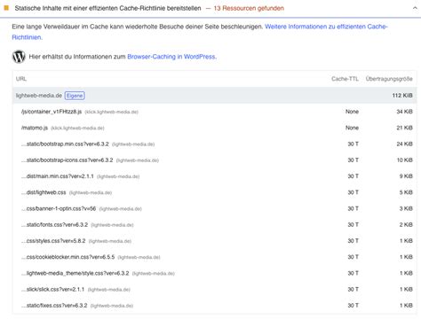 Expires Header Zur Htaccess Hinzufügen • Lightweb Media