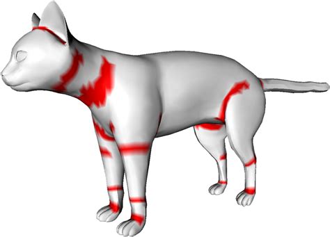 Overview Of Our Kinematic Skeleton Extraction Method Extracting Download Scientific Diagram