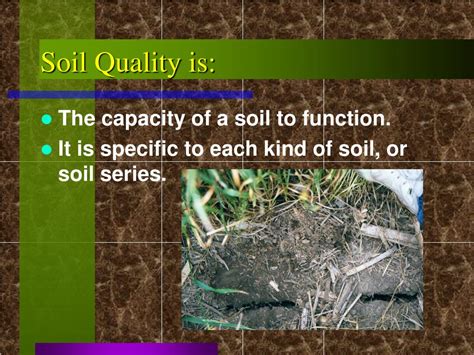 PPT Soil Quality Test Kit PowerPoint Presentation Free Download ID