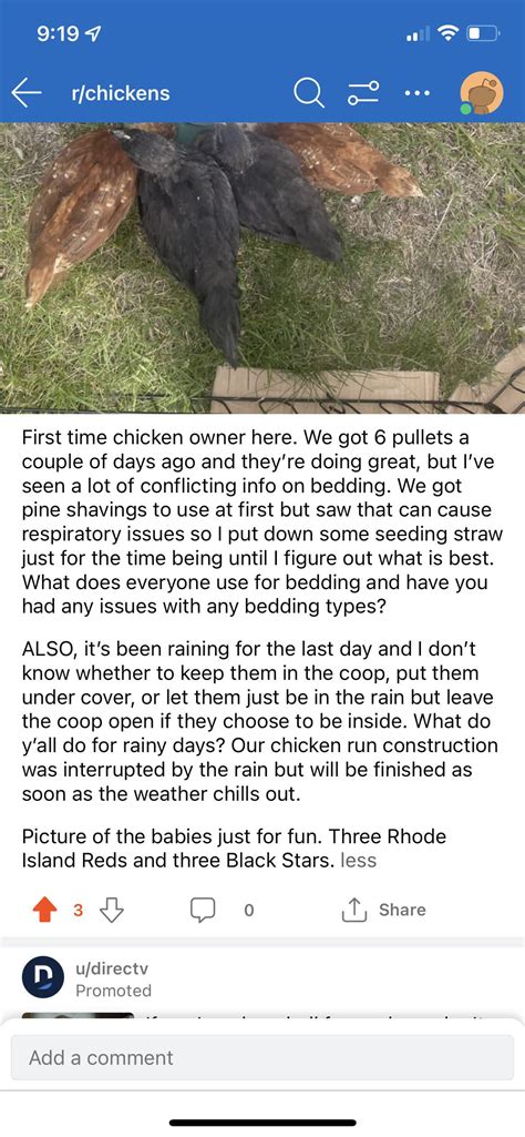 Seems I Posted This Wrong Earlier Please Read The Screenshot I Need Some Guidance Rchickens