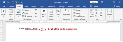 Undo In MS Word How To Undo And Redo In MS Word