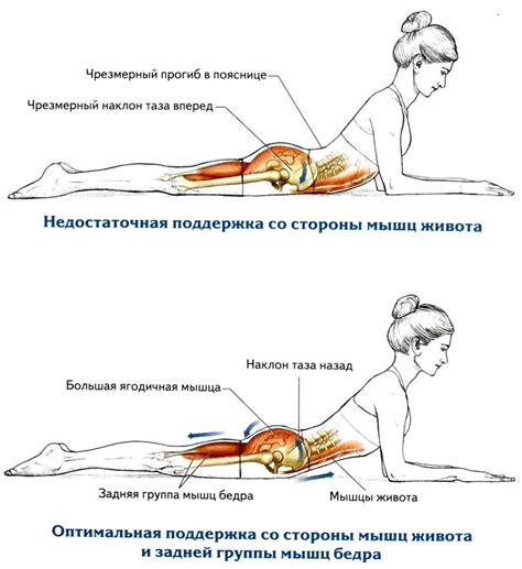 Разгибание спины лежа на животе Anatomía De Yoga Estiramientos De Yoga Ejercicios De Yoga