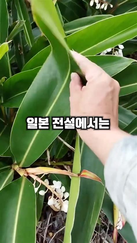 메타웰 일본영양제 건강정보 이벤트 💥색깔별로 한눈에 보는 건강상태 총정리💥 몸의 신호 무시하지 말고 이상있으면 병원