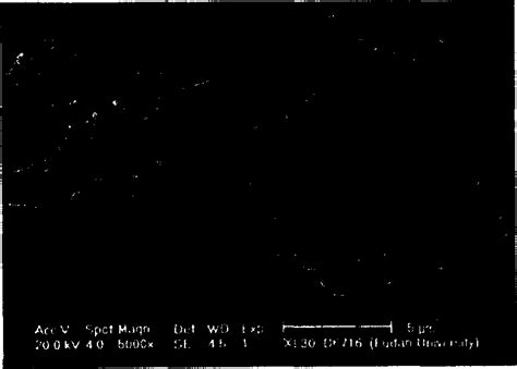 Molecular Sieve Catalyst Containing Pores In Tungsten Media Utilized For Synthesizing
