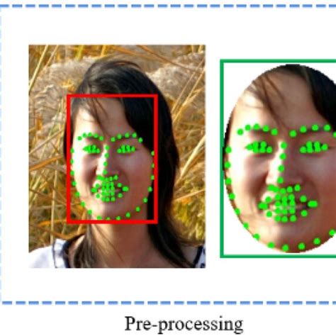 schematic diagram of facial expression recognition framework download