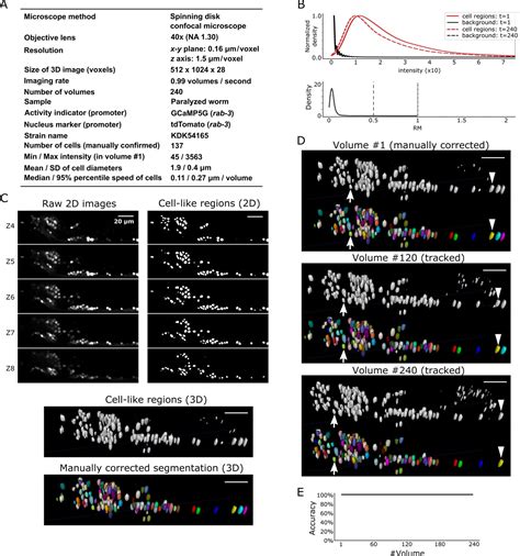 figures and data in 3deecelltracker a deep learning based pipeline for