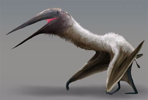 Cryodrakon Cryodrakon Wikipedia Prehistoric Wildlife Dinosaur