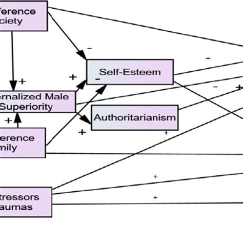 The Theoretical Model Of The Dynamics Of Favoring Male Gender