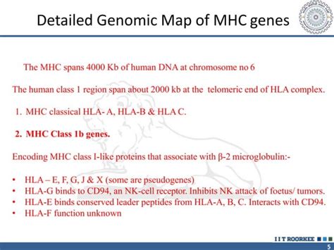 General Organization And Inheritance Of Mhc Pptx