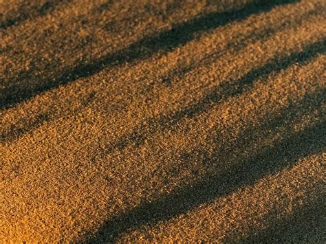 A Docker Captains Dockercon 2017 Review Nebulaworks Insights