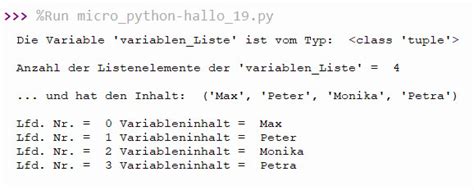 Programmieren Mit MicroPython Teil 1