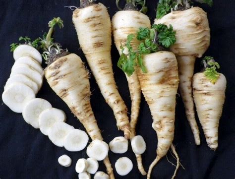 100 Us Seeds Harris Model Parsnip Nutty