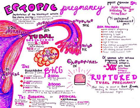 Ectopic Pregnancy System Disorder Template