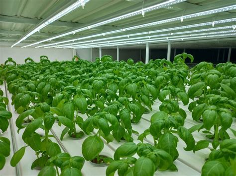 New Plastic Square Pvc Pipe For Hydroponics 100x50 Rectangular Plastic
