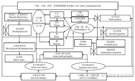 作物生长模型cropgrow 知乎