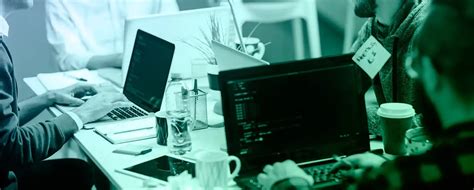 Functional Testing Software Bug Hunting Service Unguess