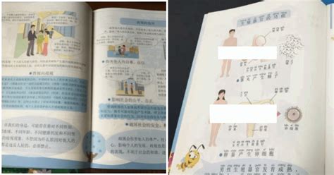 Reasons Why This Chinese SEX Education Textbook For Primary Babe Babes Will Both SHOCK
