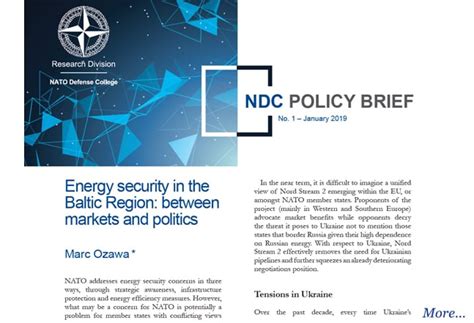 Ndc Policy Brief 1 19