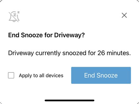 How To Snooze Motion Activated Notifications Blink Support