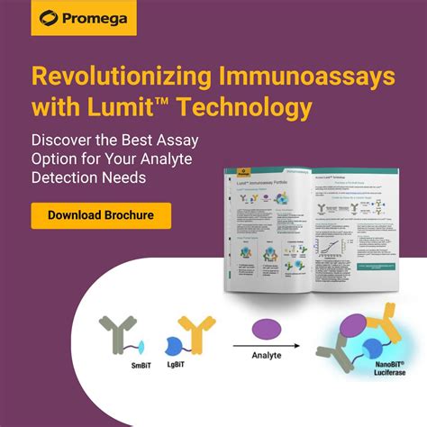 Promega Corporation On Linkedin Lumit® Technology Fast And Easy Immunodetection