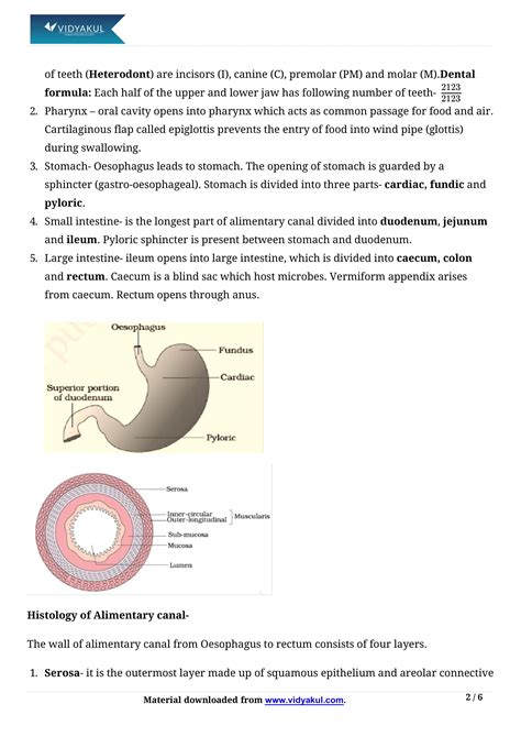 Digestion And Absorption Class 11 Notes Vidyakul