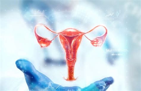 8 Things To Know About Endometriosis Hegde Fertility