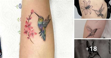 Beija Flor A Escolha Perfeita Para Uma Tatuagem Delicada E Elegante