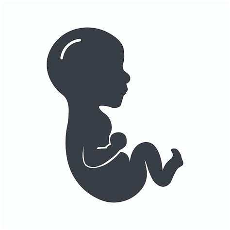 Símbolo Do Feto Bebê No útero Desenvolvimento Do Embrião Vetor Premium