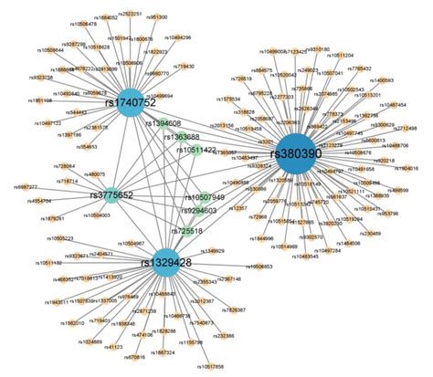Visualization Network Of Amd Download Scientific Diagram