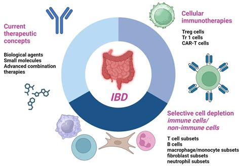 Ulcerative Colitis Autoimmune Functional Medicine Approach To