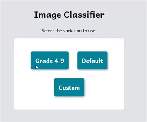 Simple Ai Tool For Image Classification School Of The Future