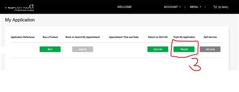 Babe Visa Processing Times VFS Global Ukvisa