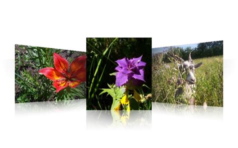 Coverflow Generate Images Using The Cover Flow Effect Php Classes