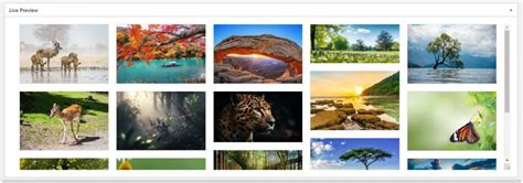 How To Add A Wordpress Gallery Lightbox [ 4 Easy Steps ]