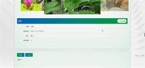 计算机毕业设计springboot基于web的中草药信息管理系统 基于spring Boot的web端中草药信息管理平台设计与实现 Web环境