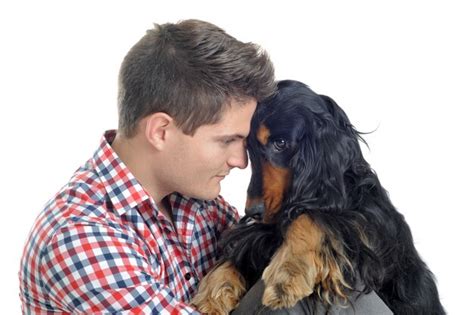 English Cocker And Man Premium Photo