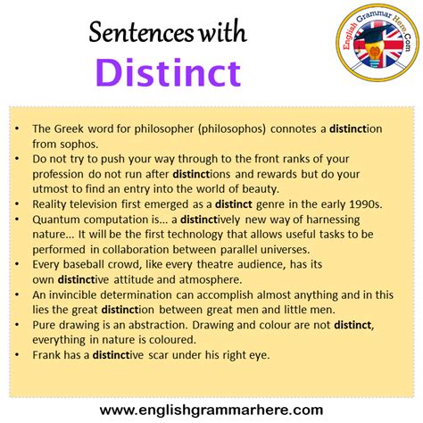 Sentences With Distinct Distinct In A Sentence In English Sentences