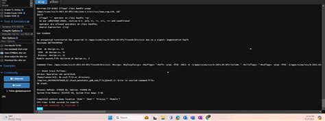 getting the error of got sigsegv an unexpected termination has occurred