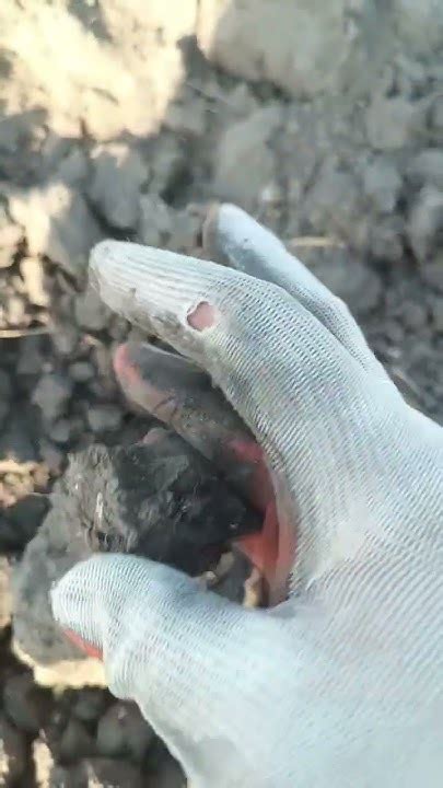 Семочки Youtube