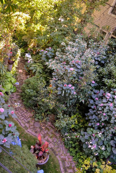 The Outlaw Gardener Late Summer In The Outlaw Garden