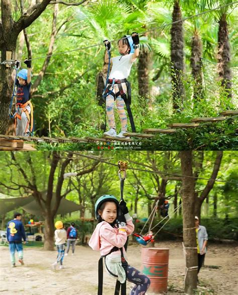 丛林魔网：带领青少年探索大自然 大型景区游乐设备设施厂家 蹦蹦云 七彩滑道 丛林穿越 无动力设备 「江西金斗士游乐设备有限公司 销售