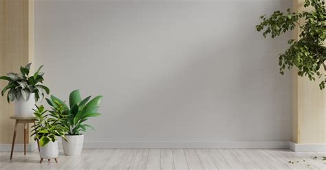 텅 빈 하얀 방에서 나무 바닥에 식물이 있는 방3d 렌더링 사진 Unsplash의 미용실 이미지