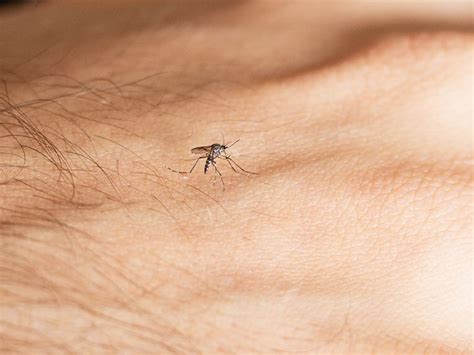 Dr Mitchell Strominger Md Ophthalmology In Reno Nv Healthline Findcare