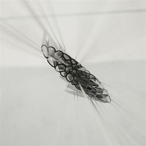 Input To Form On Behance