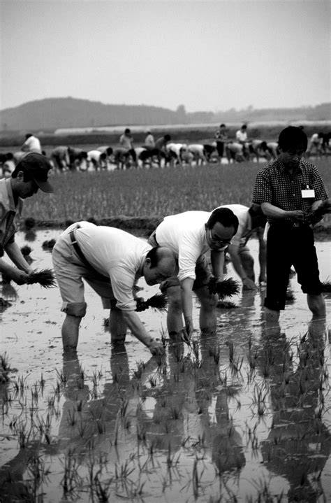 E영상역사관 사진관 정부기록사진집