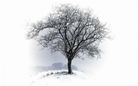 Nihilism What Is Characteristics History Types Representatives Examples